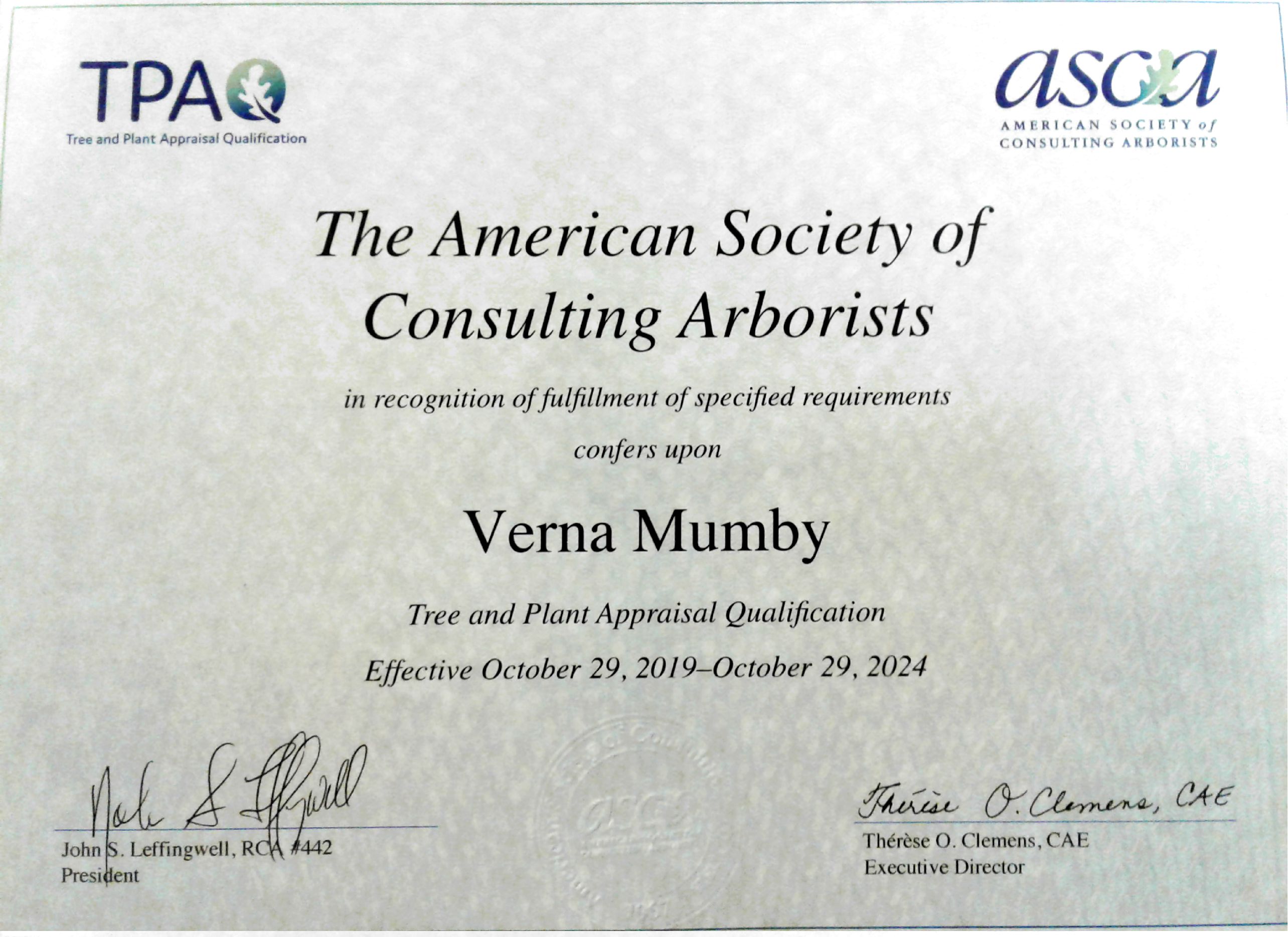 Home of Mumby’s Arboriculture Consulting